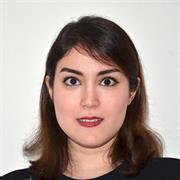 Hoda Heidari | Teaching | Carnegie Mellon University