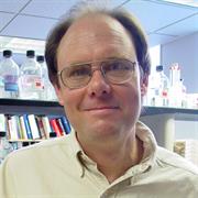 Gordon Rule | Teaching | Carnegie Mellon University