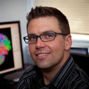 Timothy Verstynen | About | Carnegie Mellon University